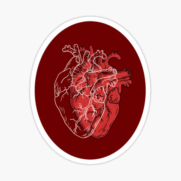 "anatomic heart aesthetic double outline" Sticker for Sale by ...