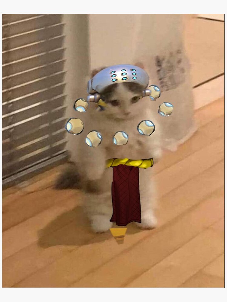 "Zen cat" Sticker for Sale by Imnxthoney | Redbubble