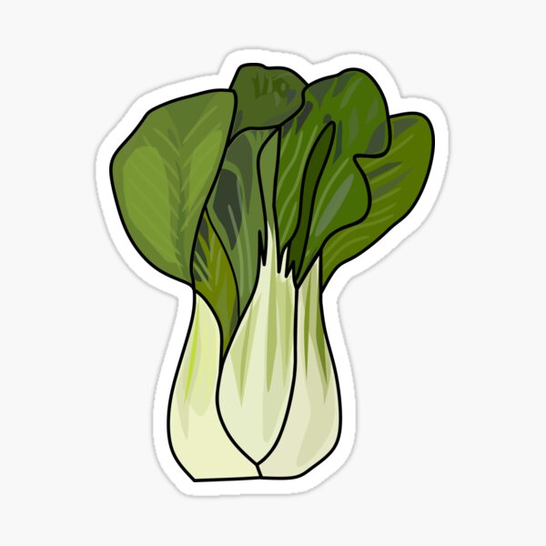 "Bok choy cartoon illustration" Sticker for Sale by Misscartoon | Redbubble