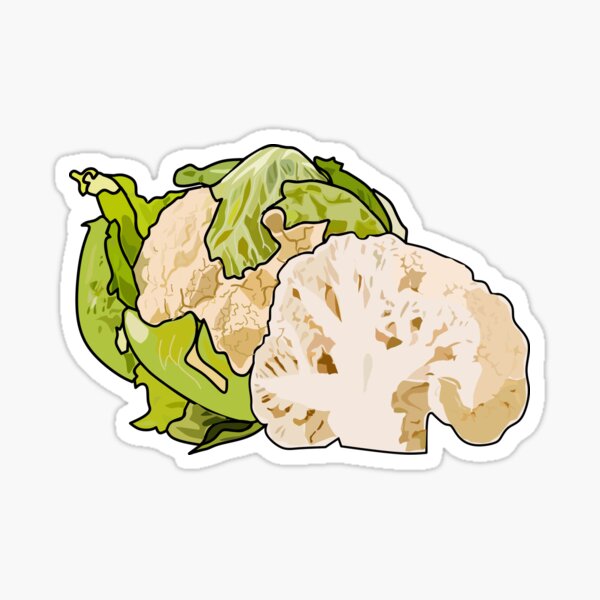 "Cauliflower cartoon illustration" Sticker for Sale by Misscartoon ...