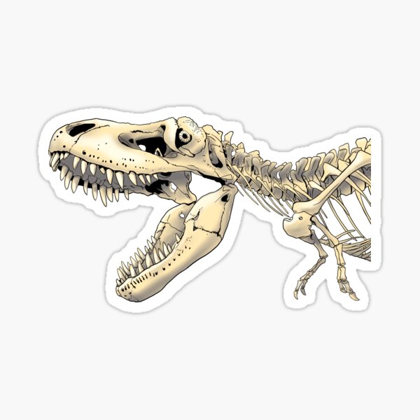 "Dinosaur Tarbosaurus Skeleton" Sticker for Sale by Naturascopia ...