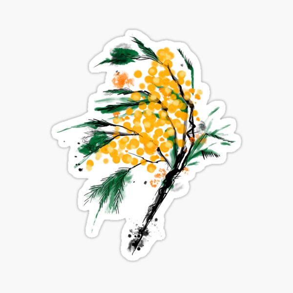 "Watercolour Mimosa flower" Sticker for Sale by Blacklinesw9 | Redbubble