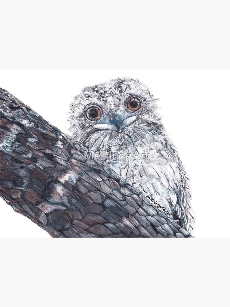 Tilly The Tawny Frogmouth Premium Matte Vertical Poster