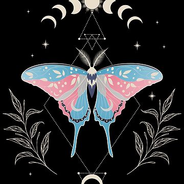 "Transgender Luna Moth Celestial Cottagecore LGBT Pride Flag" Art Board ...