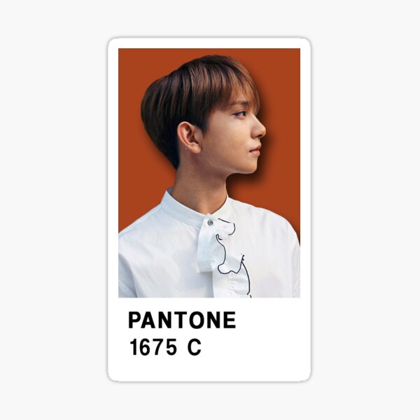 "SEVENTEEN PANTONE Joshua" Sticker for Sale by vernonvibes | Redbubble