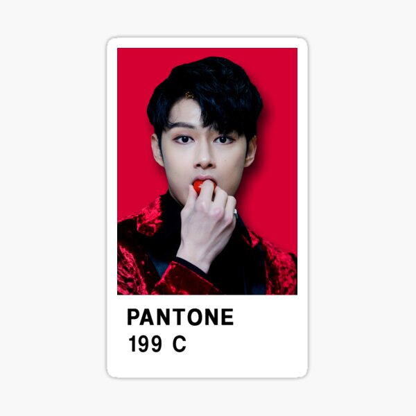 "SEVENTEEN PANTONE Jun" Sticker by vernonvibes | Redbubble
