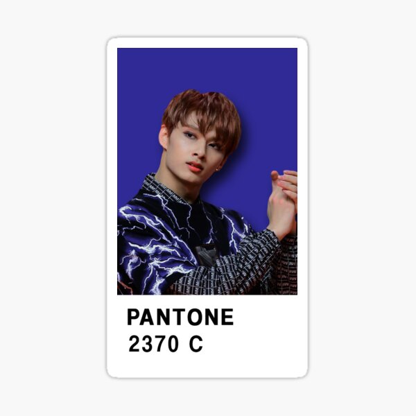 "SEVENTEEN PANTONE Jun" Sticker for Sale by vernonvibes | Redbubble