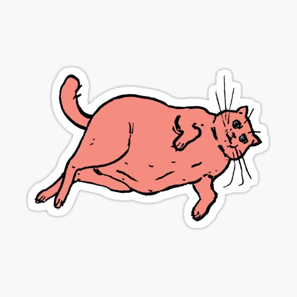"Fat Cat- Orange Boy" Sticker by cesyapalmer | Redbubble