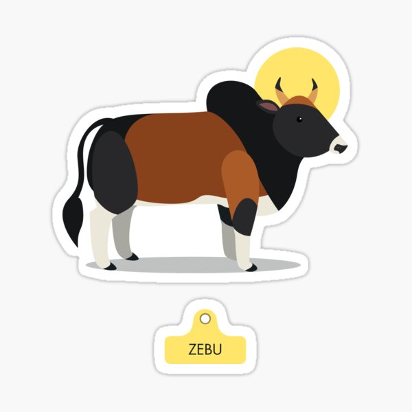 Zebu Gifts & Merchandise | Redbubble