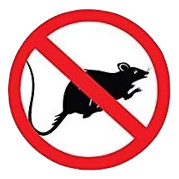"No Rats" Sticker for Sale by unionpride | Redbubble