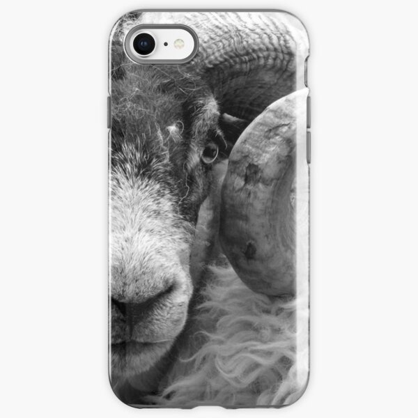 Sheep iPhone cases & covers | Redbubble