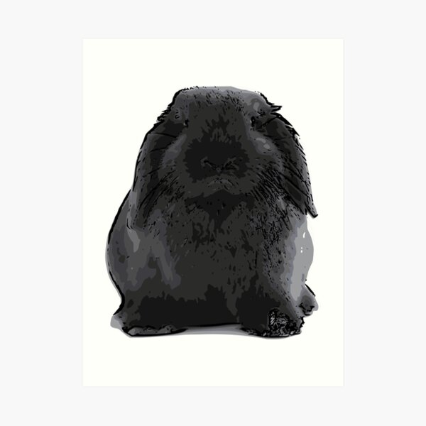 Mini Lop Rabbit Art Prints | Redbubble