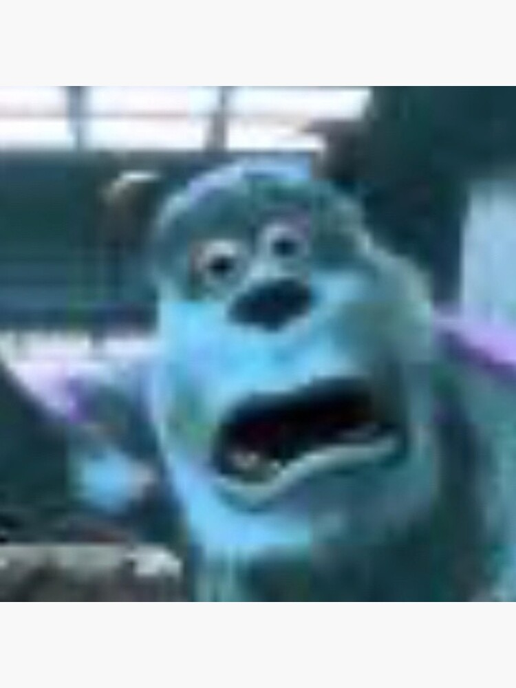 Sully Memes What Game?