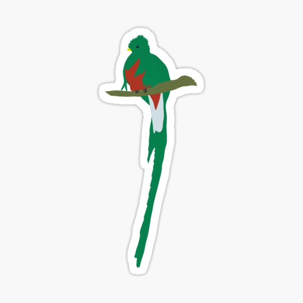 "Resplendent Quetzal" Sticker for Sale by BensBirds | Redbubble