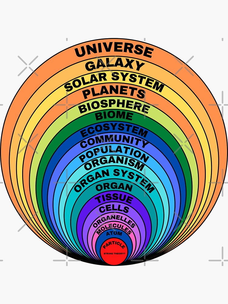 Hierarchy Of The Universe From Particle To Universe Sticker For Sale