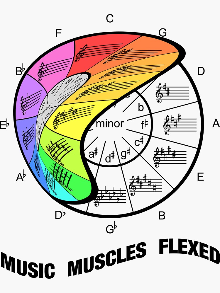 "Circle of Fifths Flexes Music Muscles" Sticker for Sale by Colorwash ...