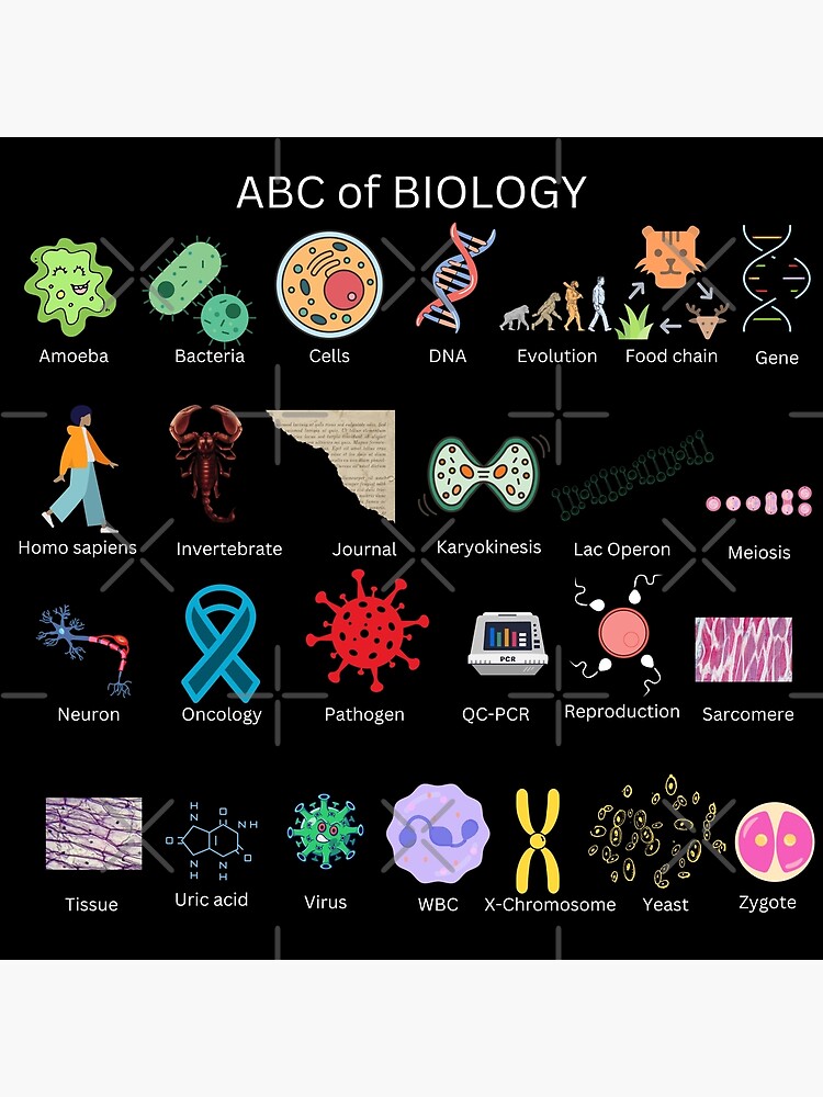"ABC of BIOLOGY for biology for students and biologists" Poster for ...