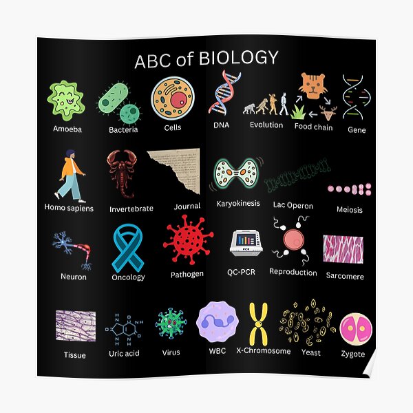 "ABC of BIOLOGY for biology for students and biologists" Poster for ...