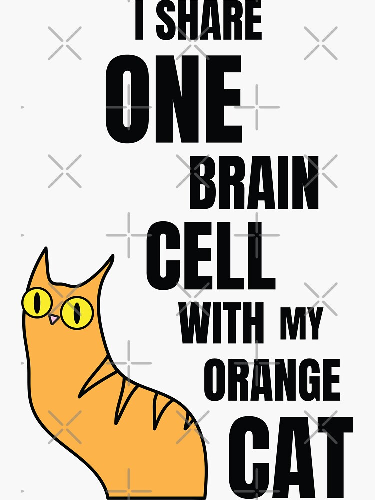 I Share One Brain Cell With My Orange Cat Funny Orange Tabby Cat Sticker For Sale By