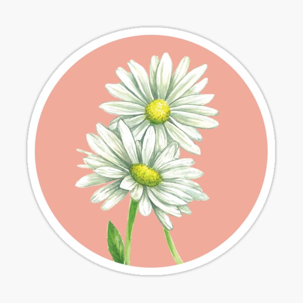 "Daisy Watercolor" Sticker for Sale by Dims-studio | Redbubble