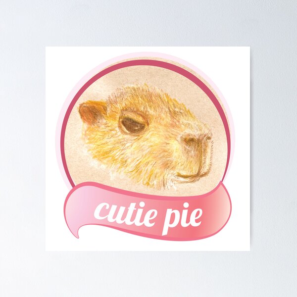 "Capy cutie pie" Poster for Sale by umasharda | Redbubble