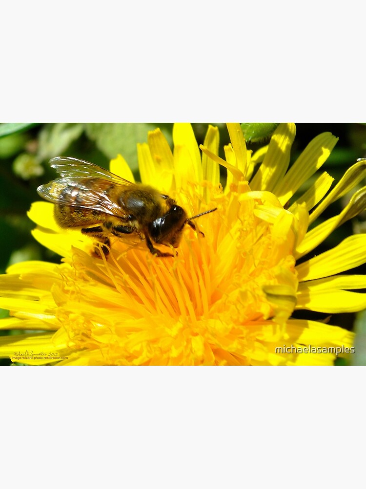 "Bee-licious" Poster by michaelasamples | Redbubble