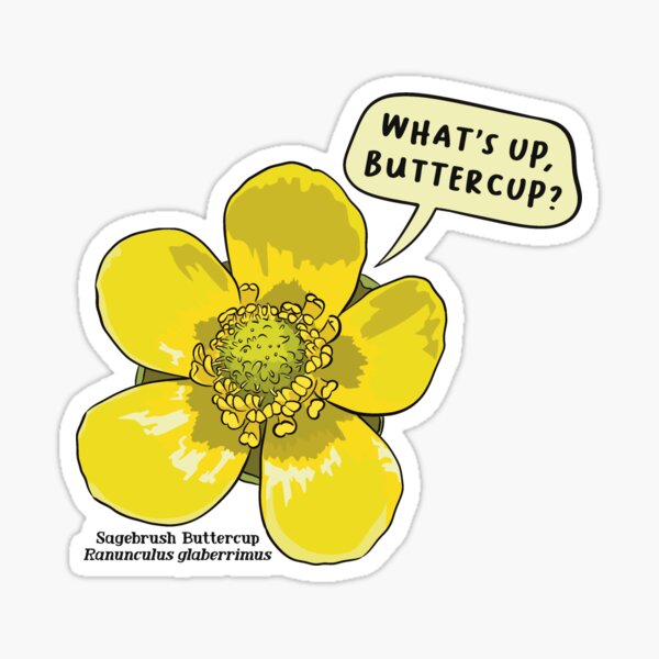"Whats up, Buttercup?" Sticker for Sale by nwmtfieldjourn | Redbubble