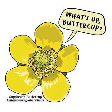 "Whats up, Buttercup?" Sticker for Sale by nwmtfieldjourn | Redbubble