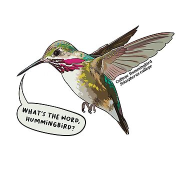 "Whats the Word, Hummingbird?" Sticker for Sale by nwmtfieldjourn ...