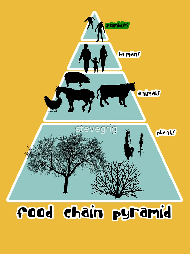 Human Food Chain Pyramid Energy Pyramid Diagram