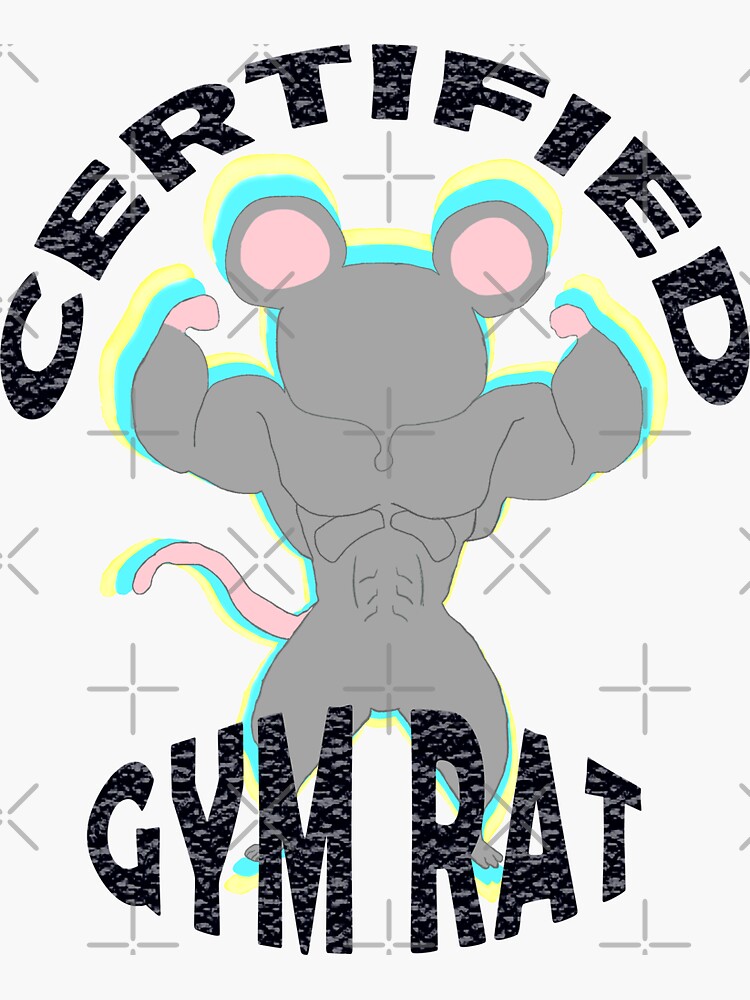 "Certified Gym Rat | The Double Biceps - Front" Sticker for Sale by ...