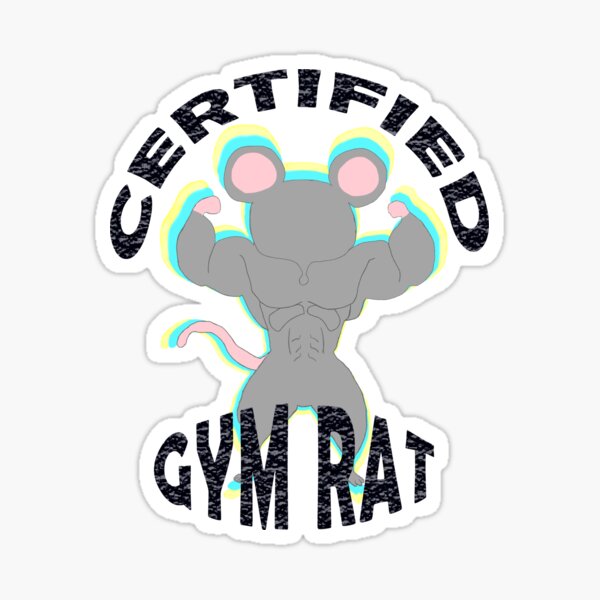 "Certified Gym Rat | The Double Biceps - Front" Sticker for Sale by ...