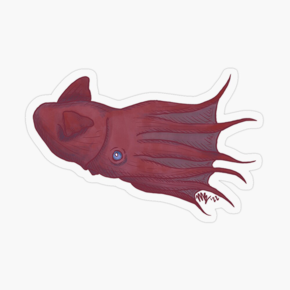 Calamar Vampiro Del Infierno El Calamar Vampiro Del Infierno | Conoce