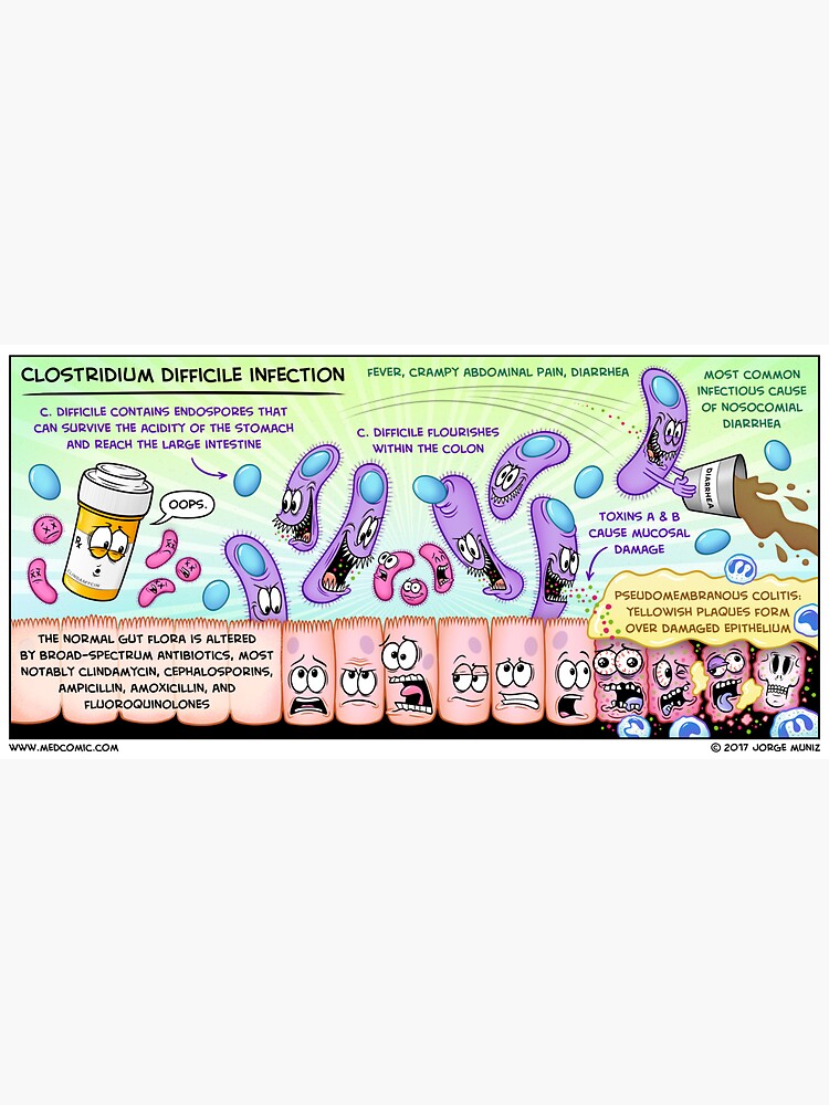 "Clostridium difficile Infection" Sticker for Sale by Medcomic | Redbubble