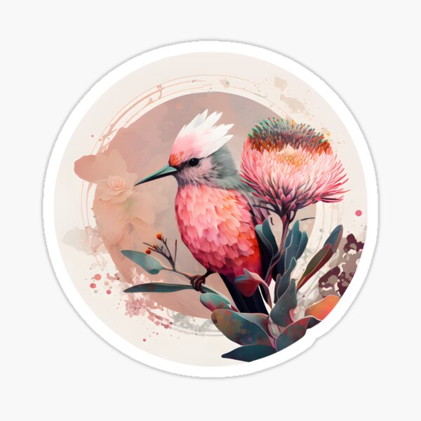"Sugar bird and Protea in shades of pink" Sticker for Sale by Sammisays ...