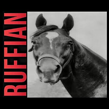 "Ruffian Horse" Essential T-Shirt for Sale by sagestar | Redbubble