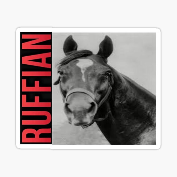 "Ruffian Horse" Sticker for Sale by sagestar | Redbubble