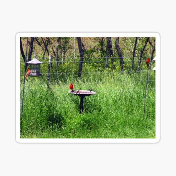 "Cardinal Directions" Sticker for Sale by daruvante | Redbubble