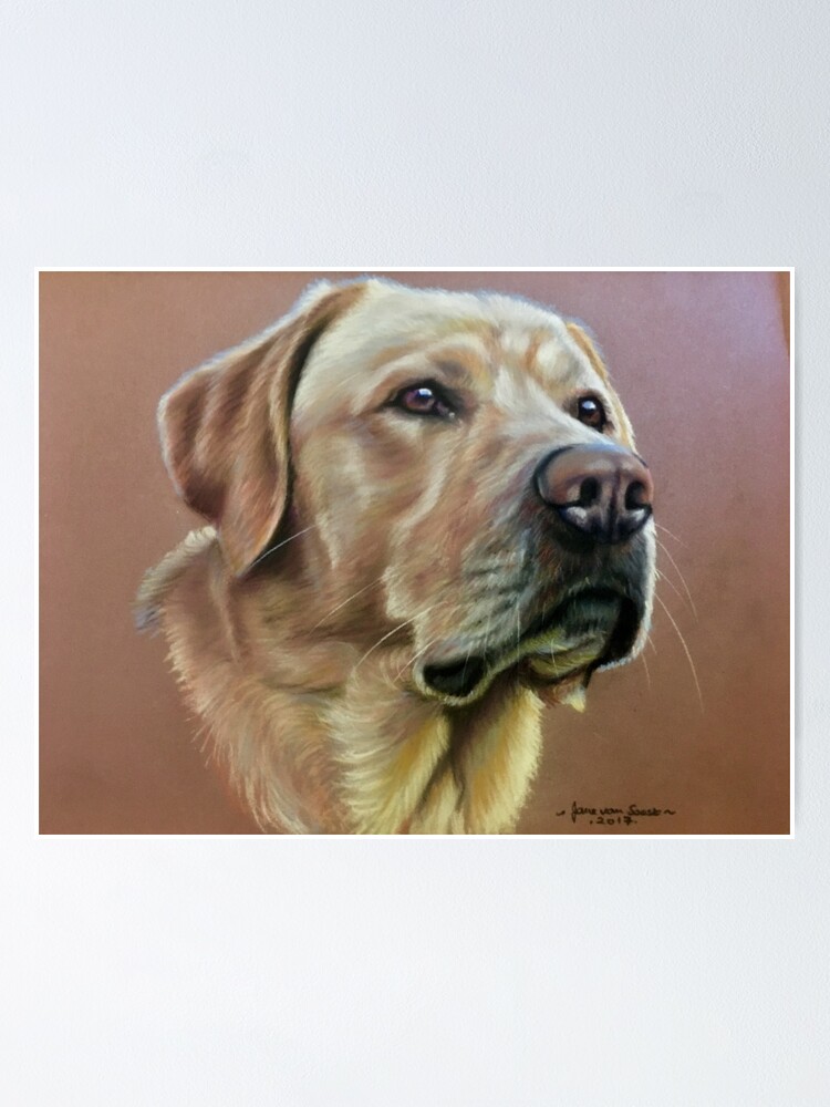 "Mackenzie " Poster by nederscot | Redbubble