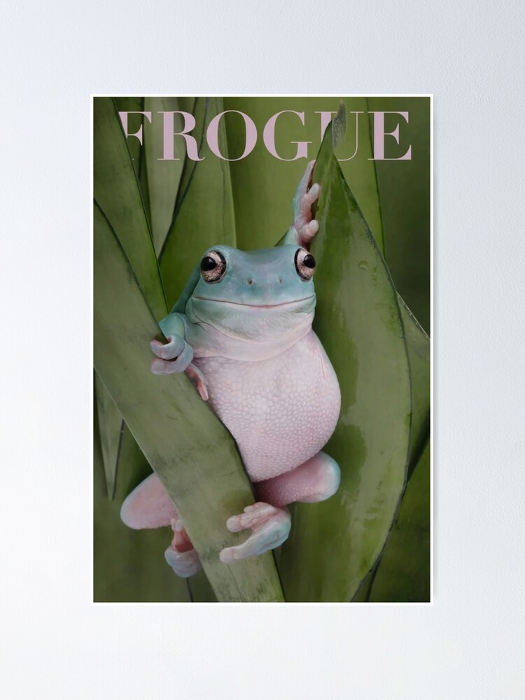 "Frogue" Poster for Sale by rather-prickly | Redbubble