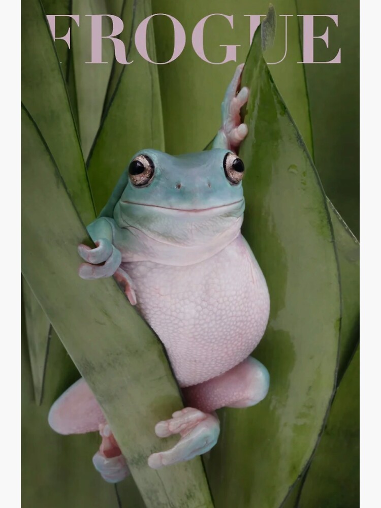 "Frogue" Sticker for Sale by rather-prickly | Redbubble