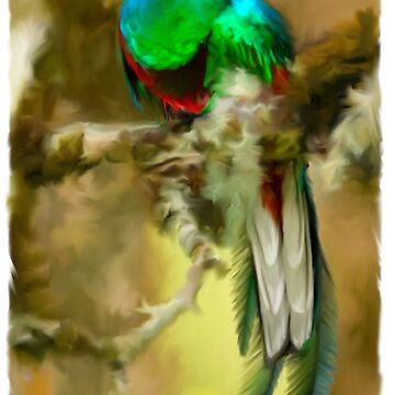 "Resplendant Quetzal" Sticker for Sale by Alvaro-Miranda | Redbubble