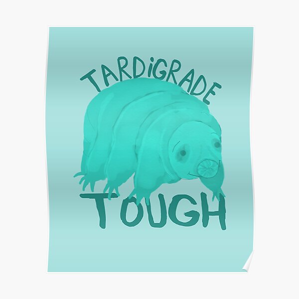 "Tardigrade Tough" Poster by amymh | Redbubble