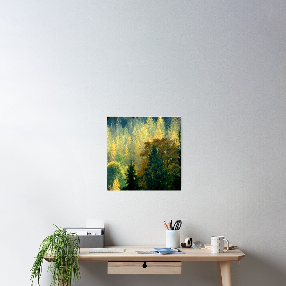 "Timeless Trees" Poster by elainebawden | Redbubble