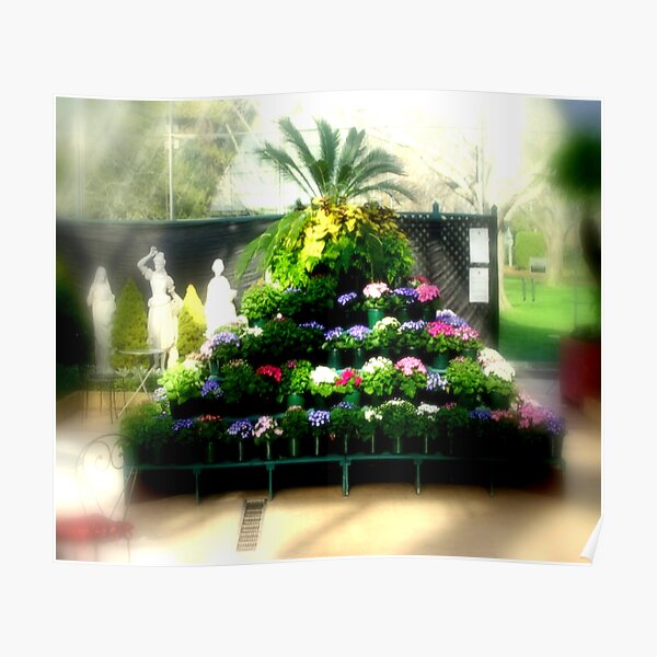 "Inside a Glass-House " Poster for Sale by cjcphotography | Redbubble