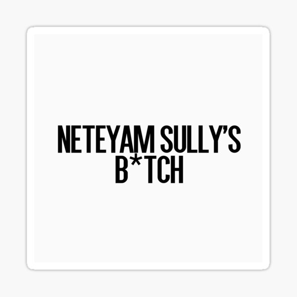 "Avatar: Neteyam Sully’s B*tch" Sticker for Sale by j creations | Redbubble