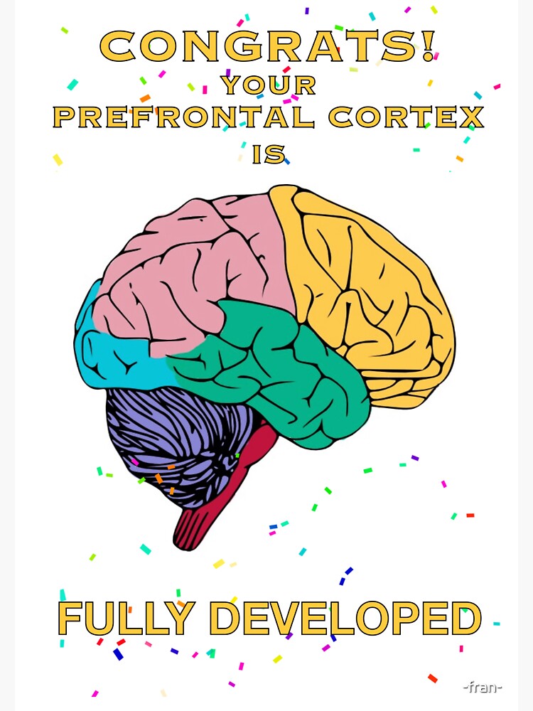 "Fully Developed Prefrontal Cortex—25th Birthday Card" Sticker for Sale ...
