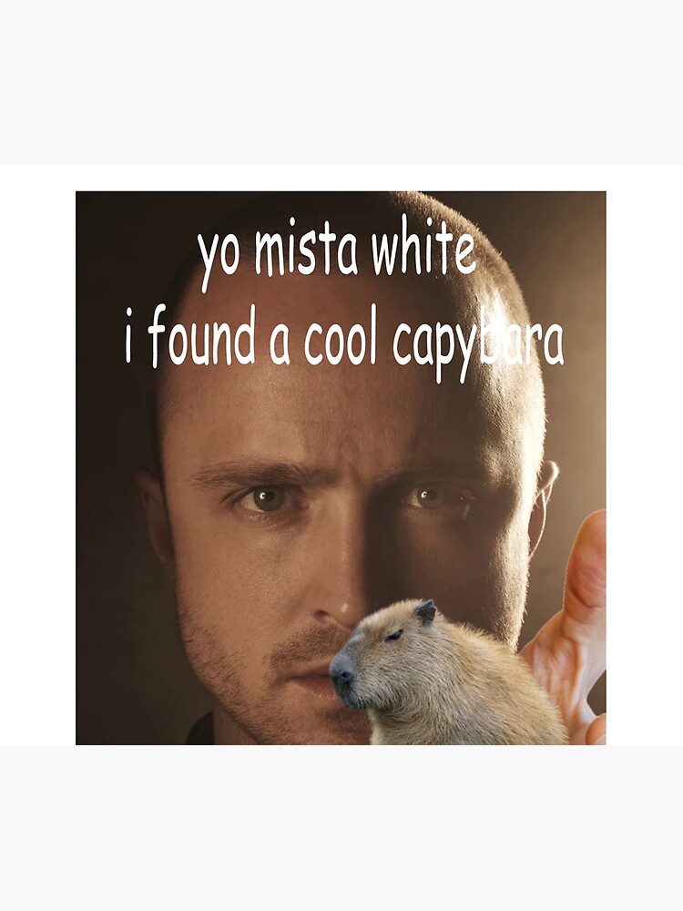 Breaking bad meme capybara Tapestry sold by Emily Yang | SKU 42502997 ...