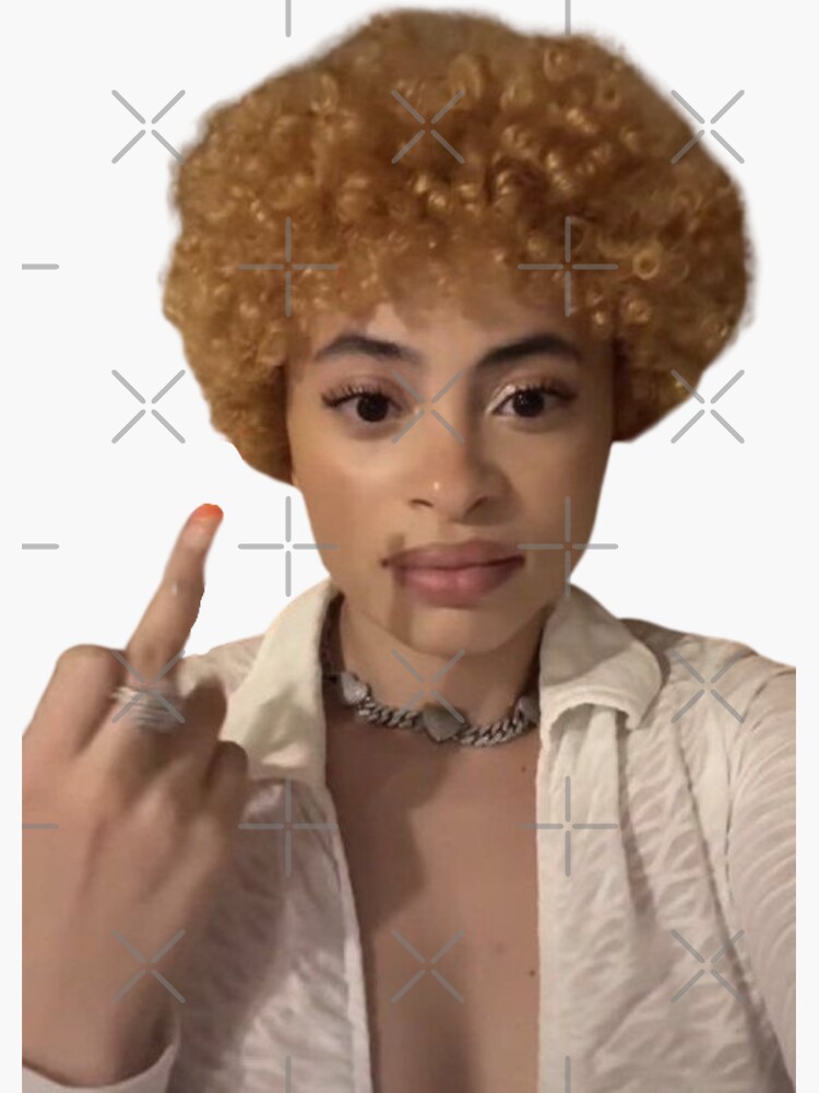 "Funny Ice Spice" Sticker for Sale by Selenasshop | Redbubble