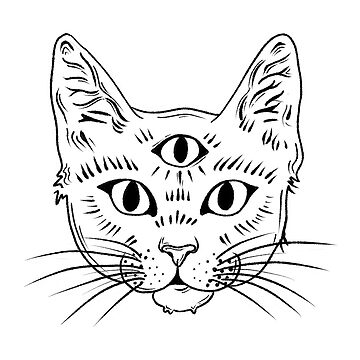 "Third Eye Cat" Photographic Print for Sale by artwithkristen | Redbubble
